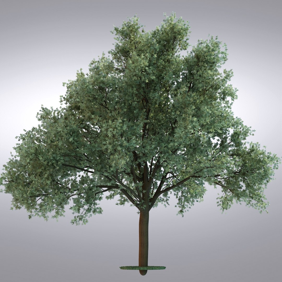 3d Hi Realistic Series Tree