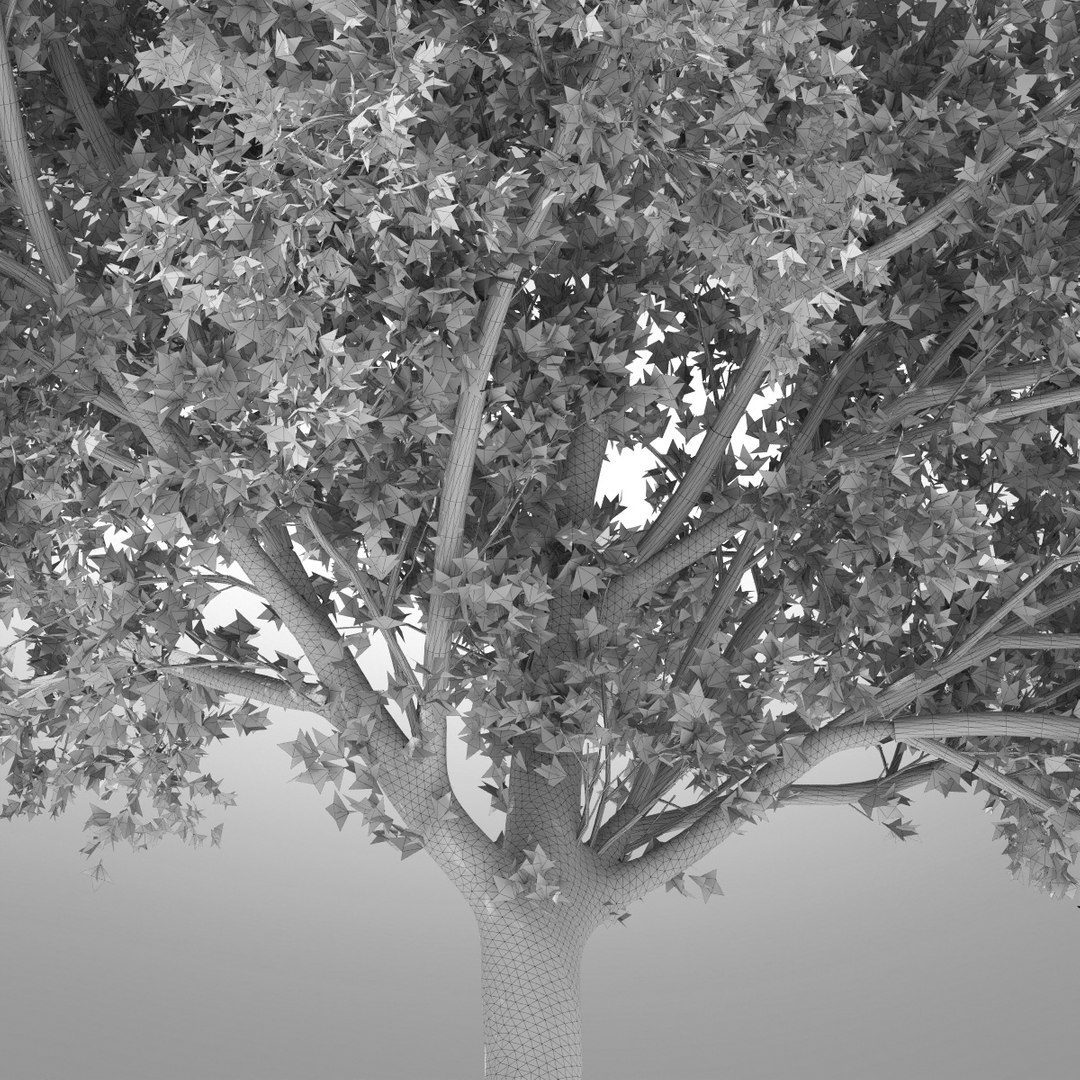 3d Hi Realistic Series Tree