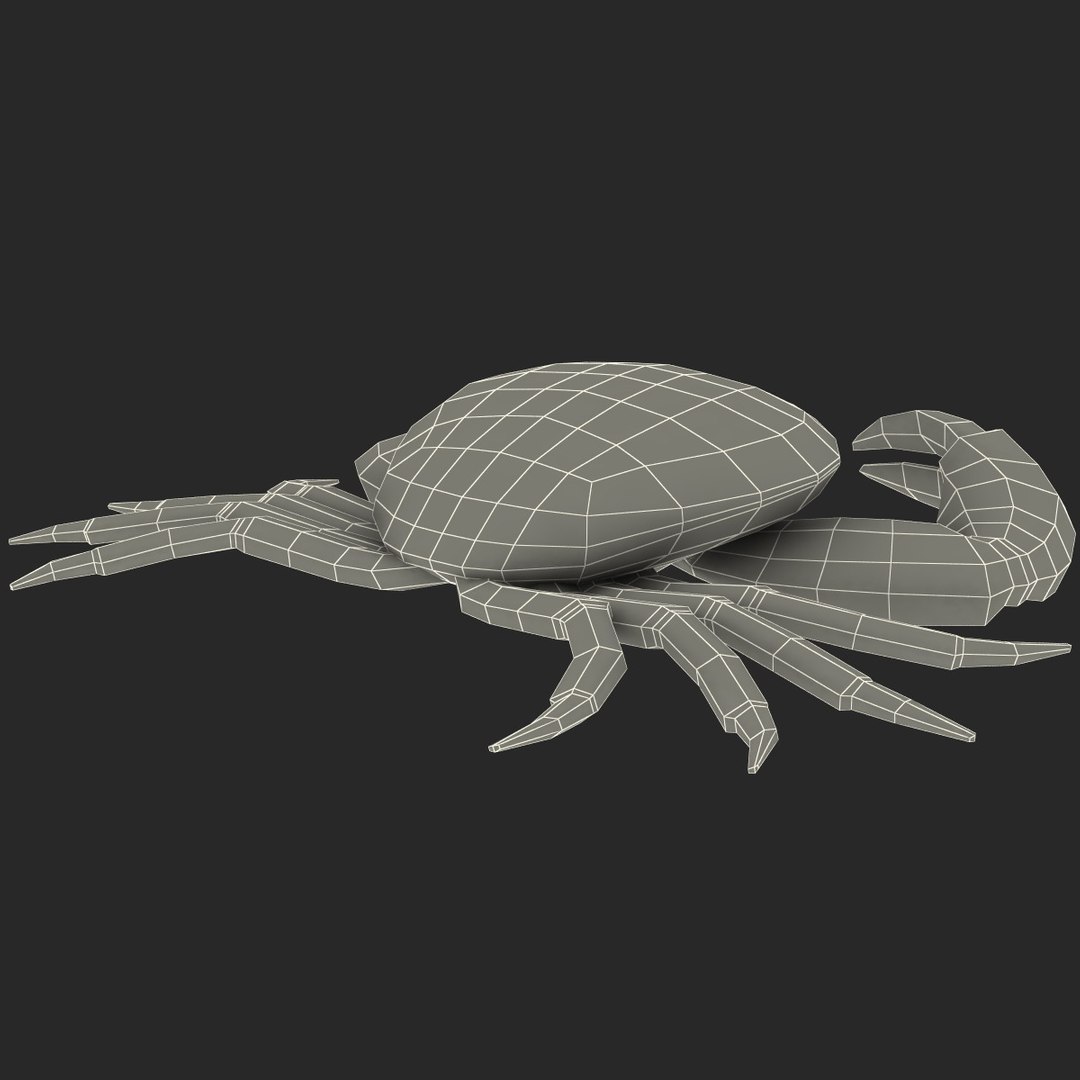 max crab modelled