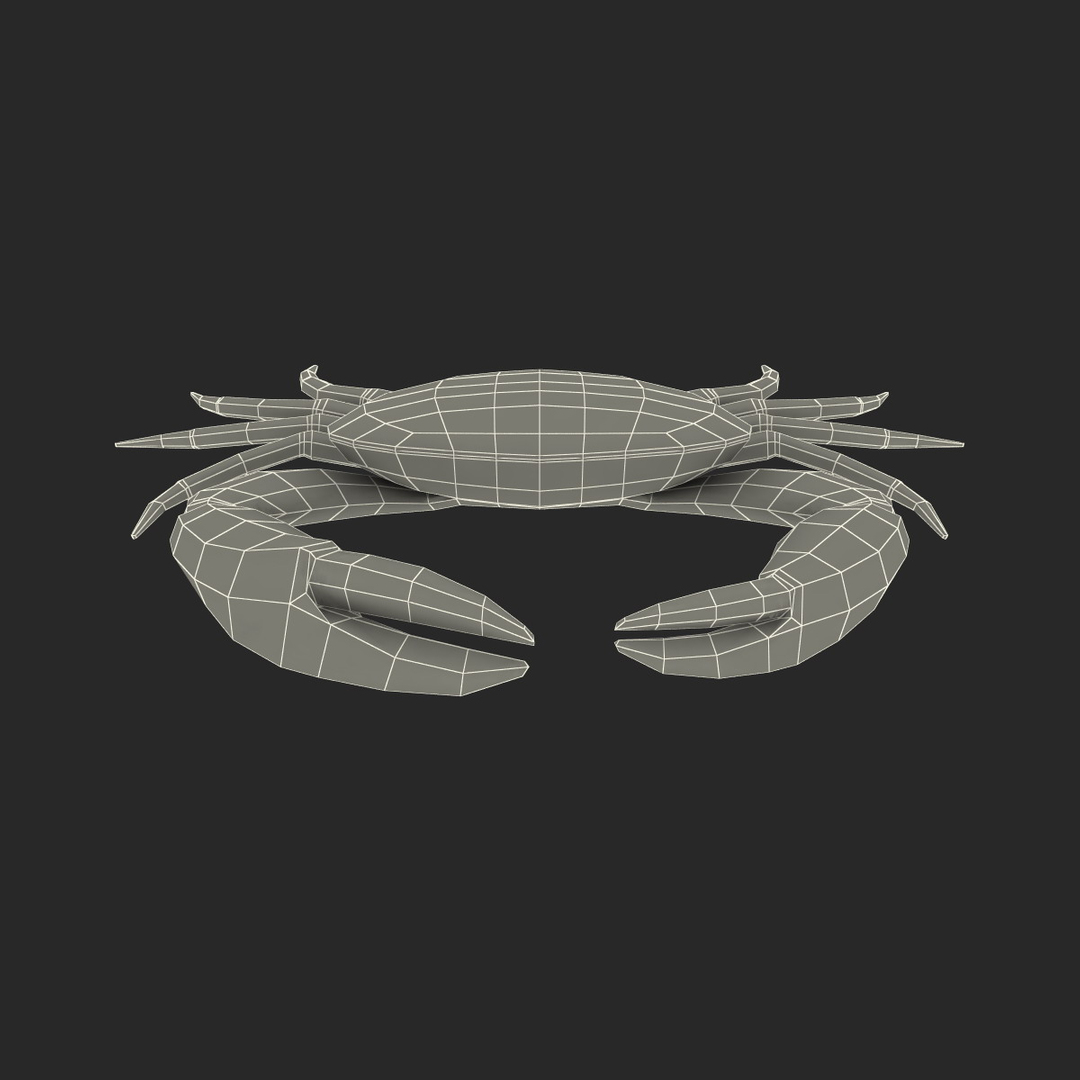 max crab modelled