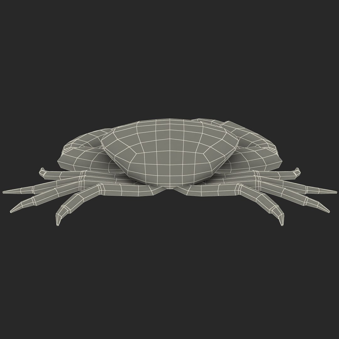 max crab modelled