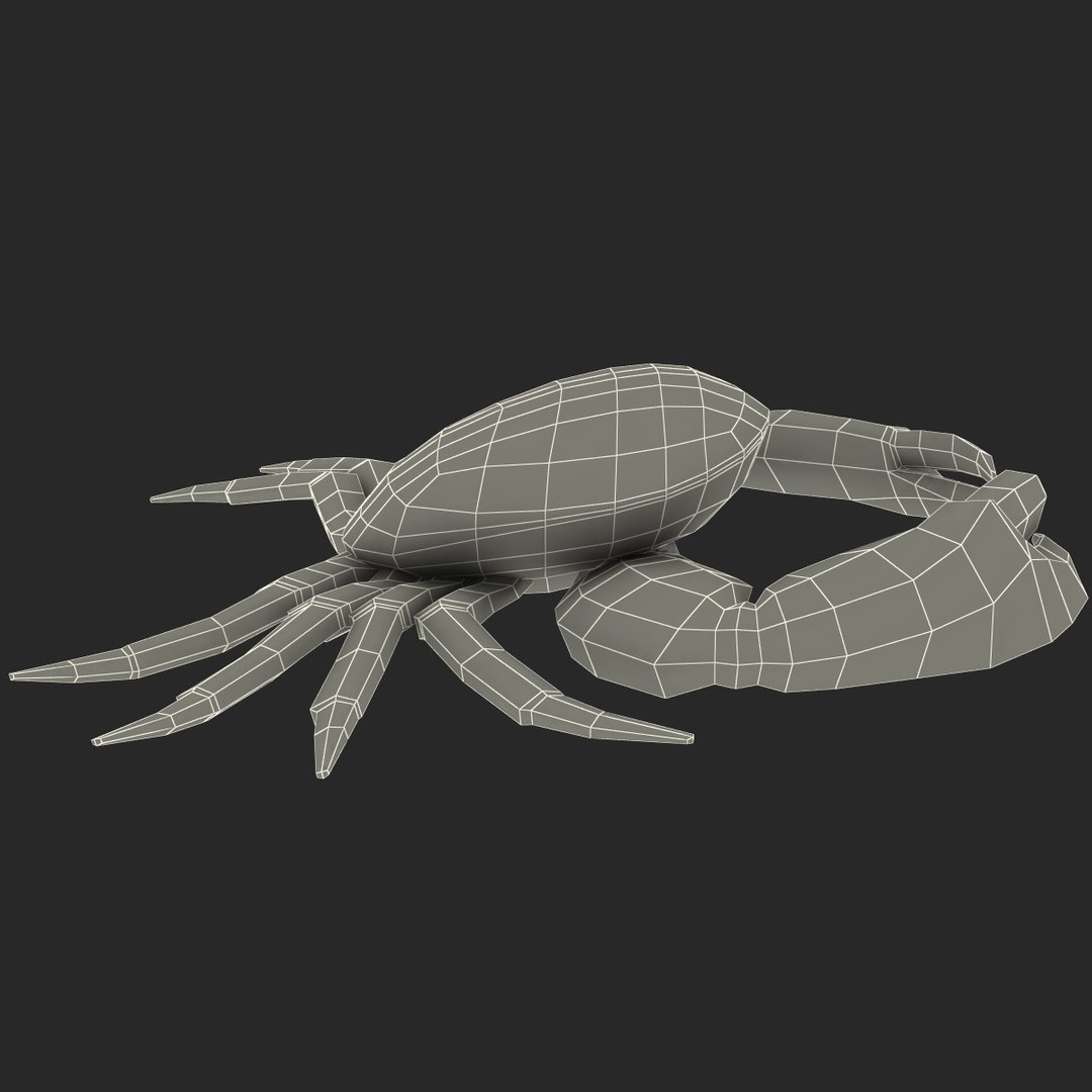 max crab modelled