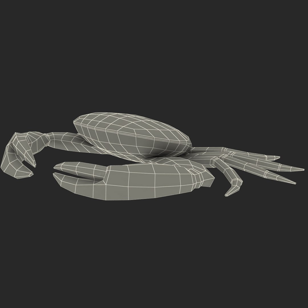 max crab modelled