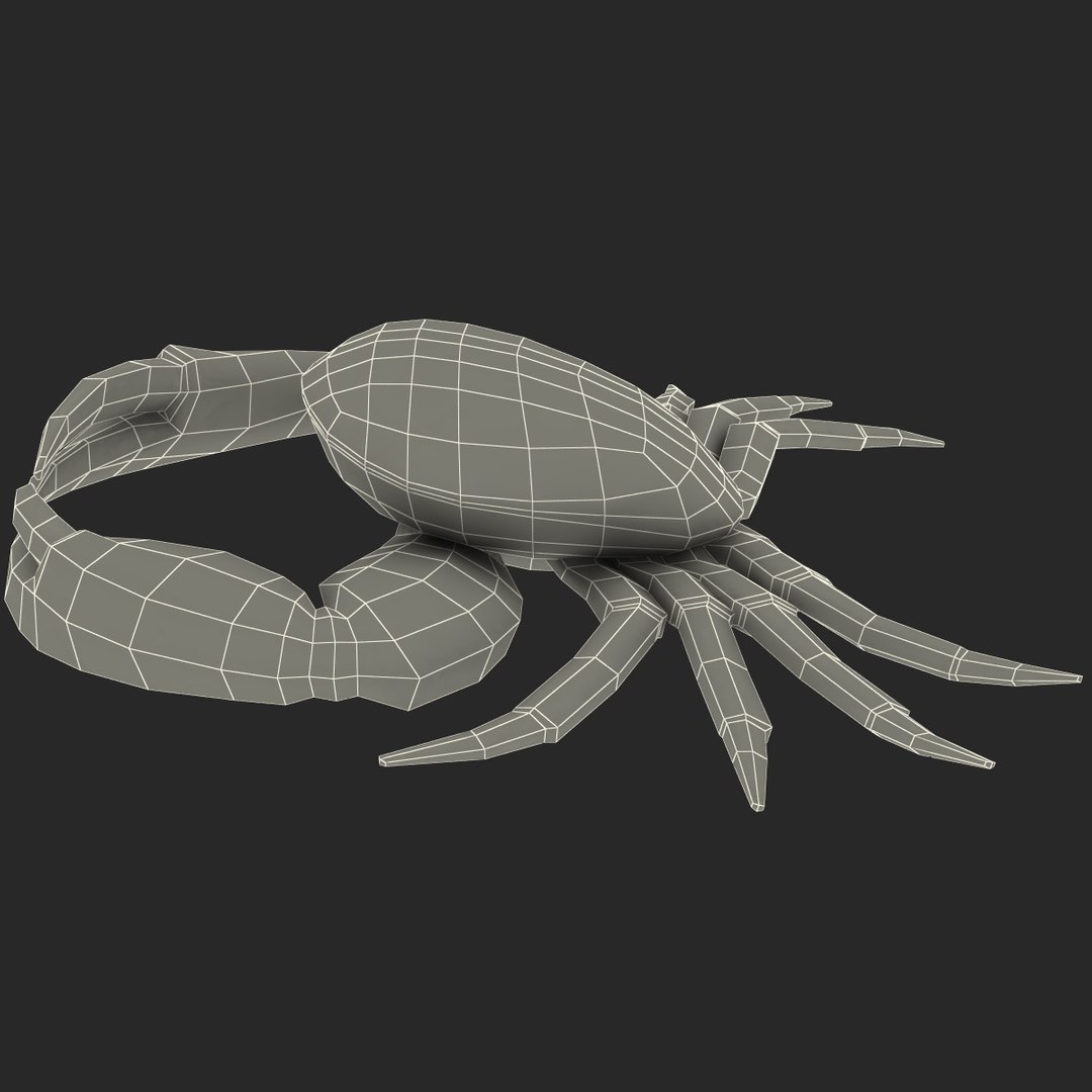 max crab modelled