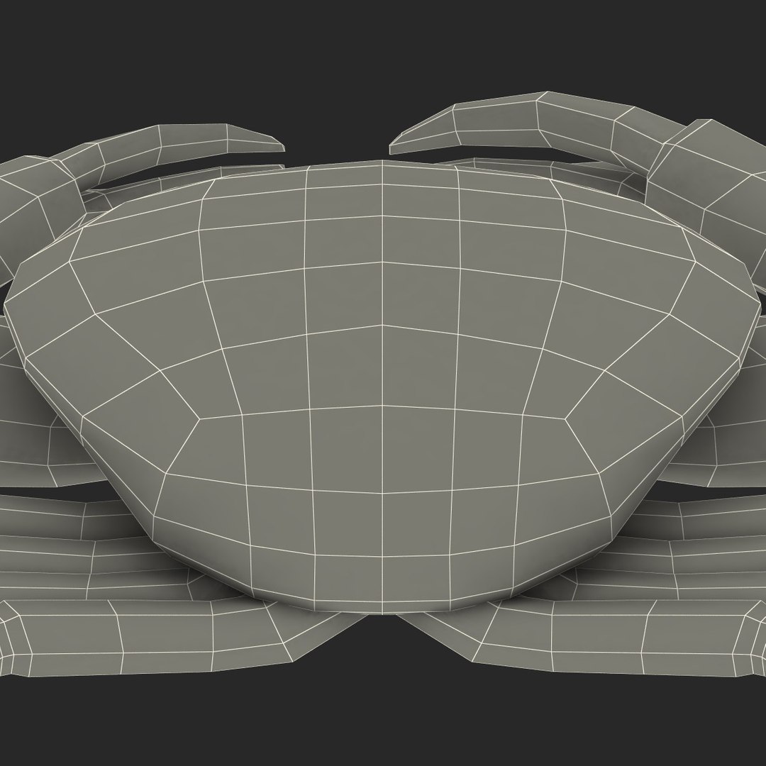 max crab modelled
