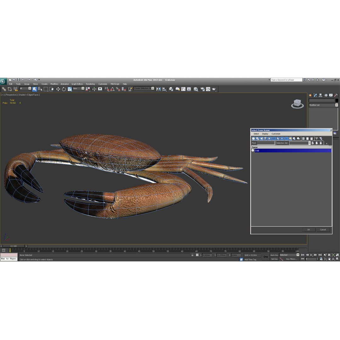 max crab modelled