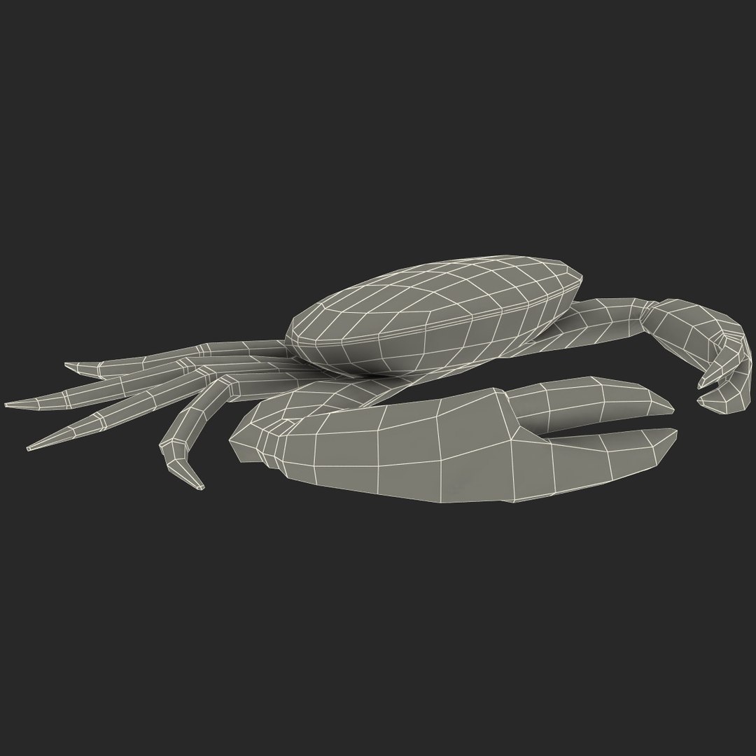 max crab modelled