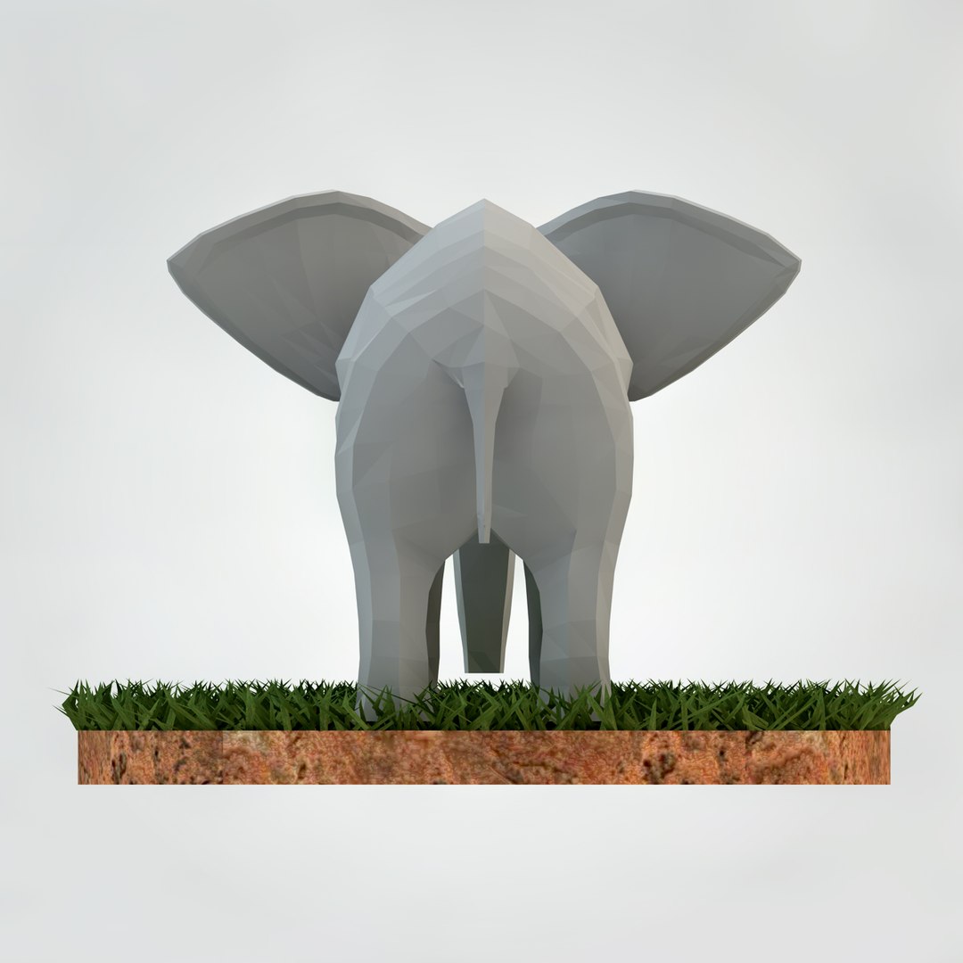 Elephant Base 3d Model