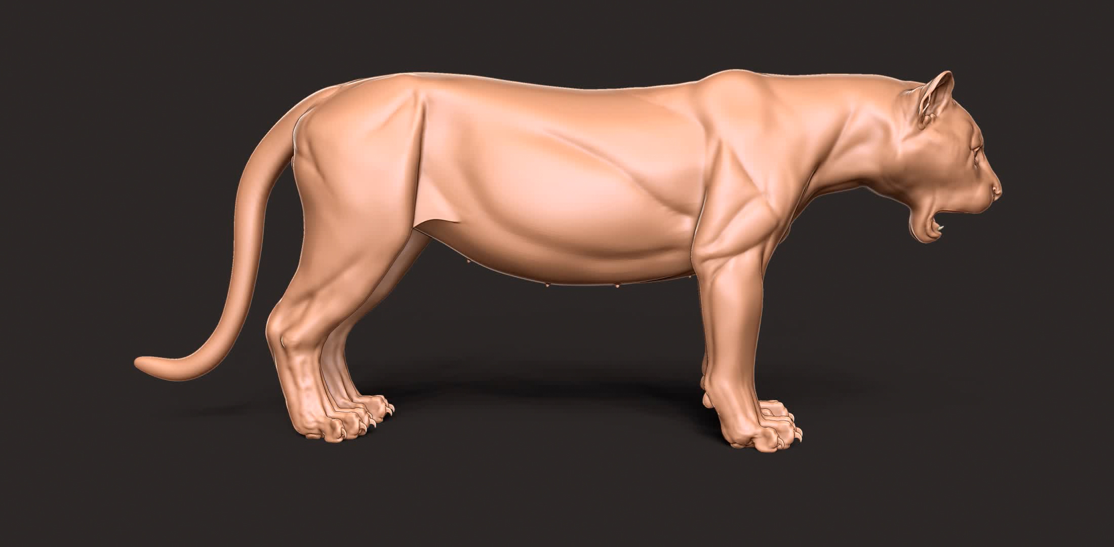 3D Tiger Cub Primary Forms Zbrush Sculpt model - TurboSquid 1820067