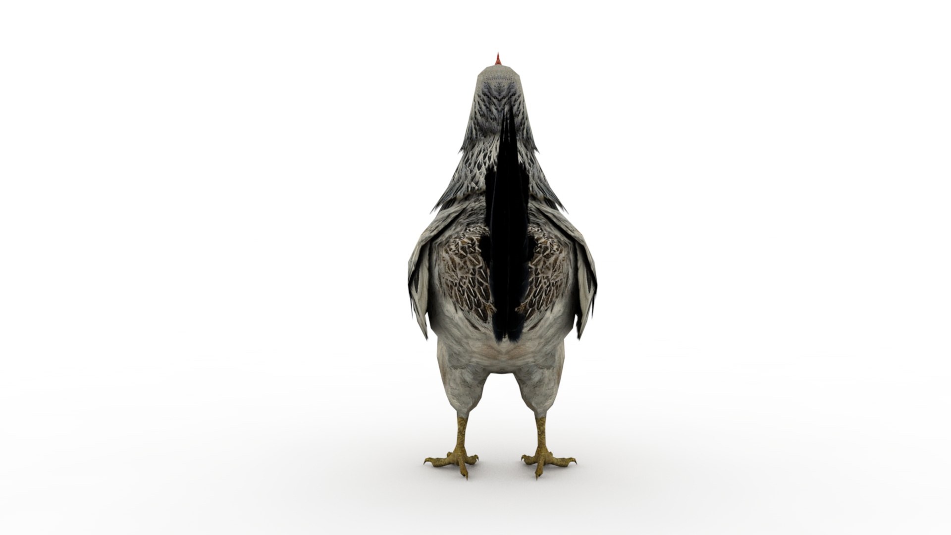 3D Hen - TurboSquid 2234271