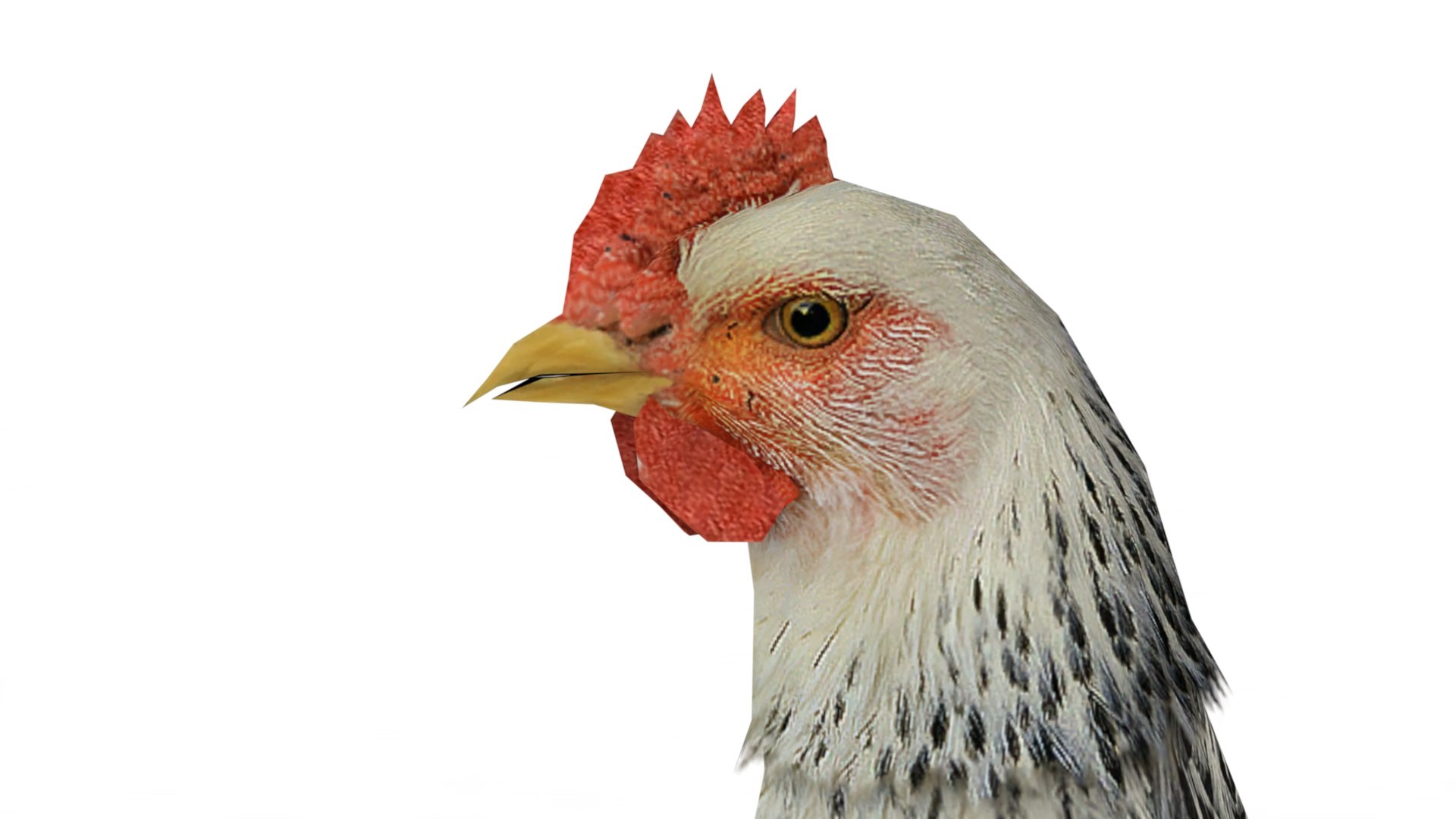 3D Hen - TurboSquid 2234271