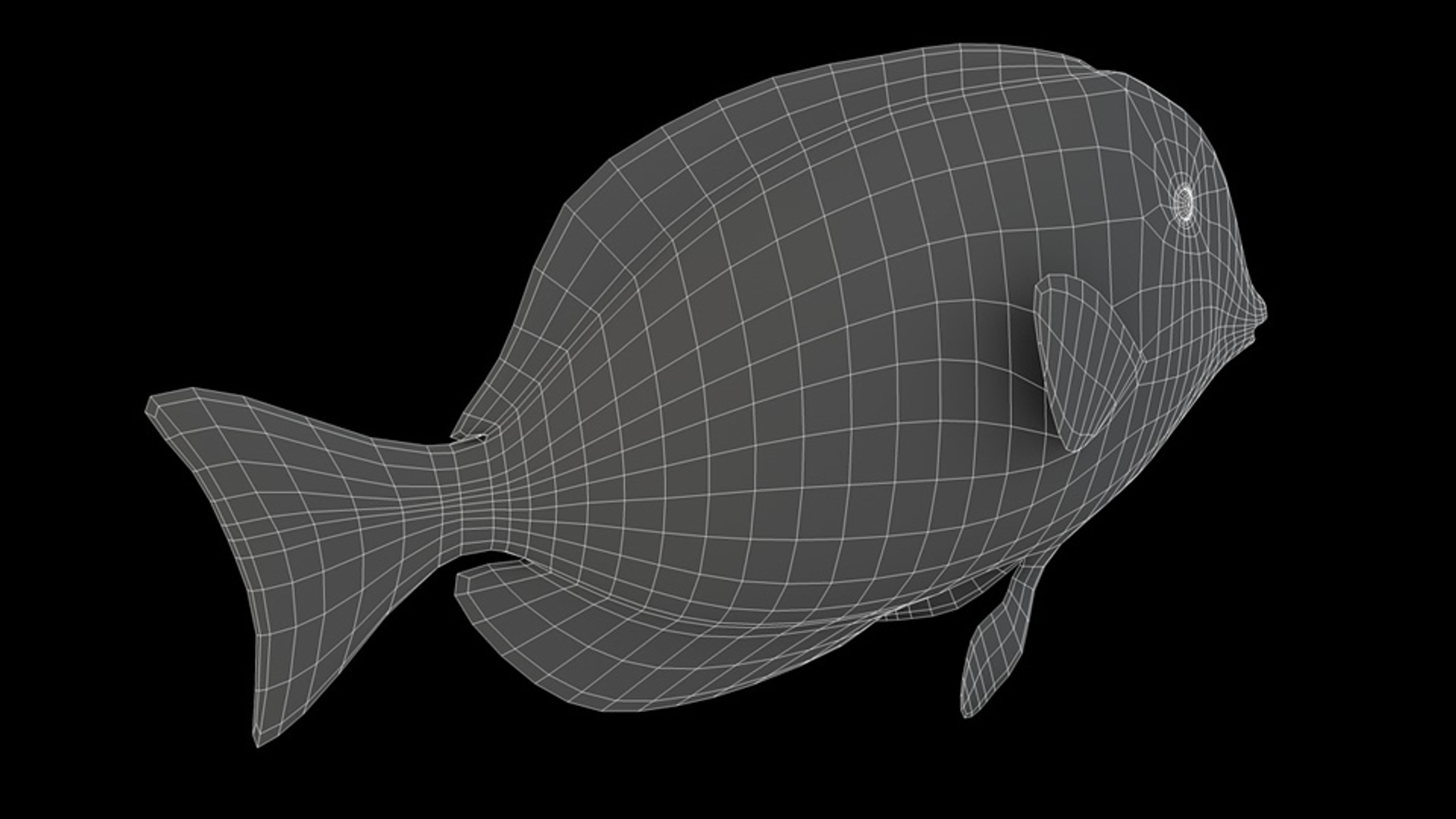 3ds max blue sea fish