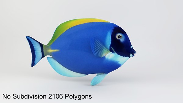 3ds max blue sea fish