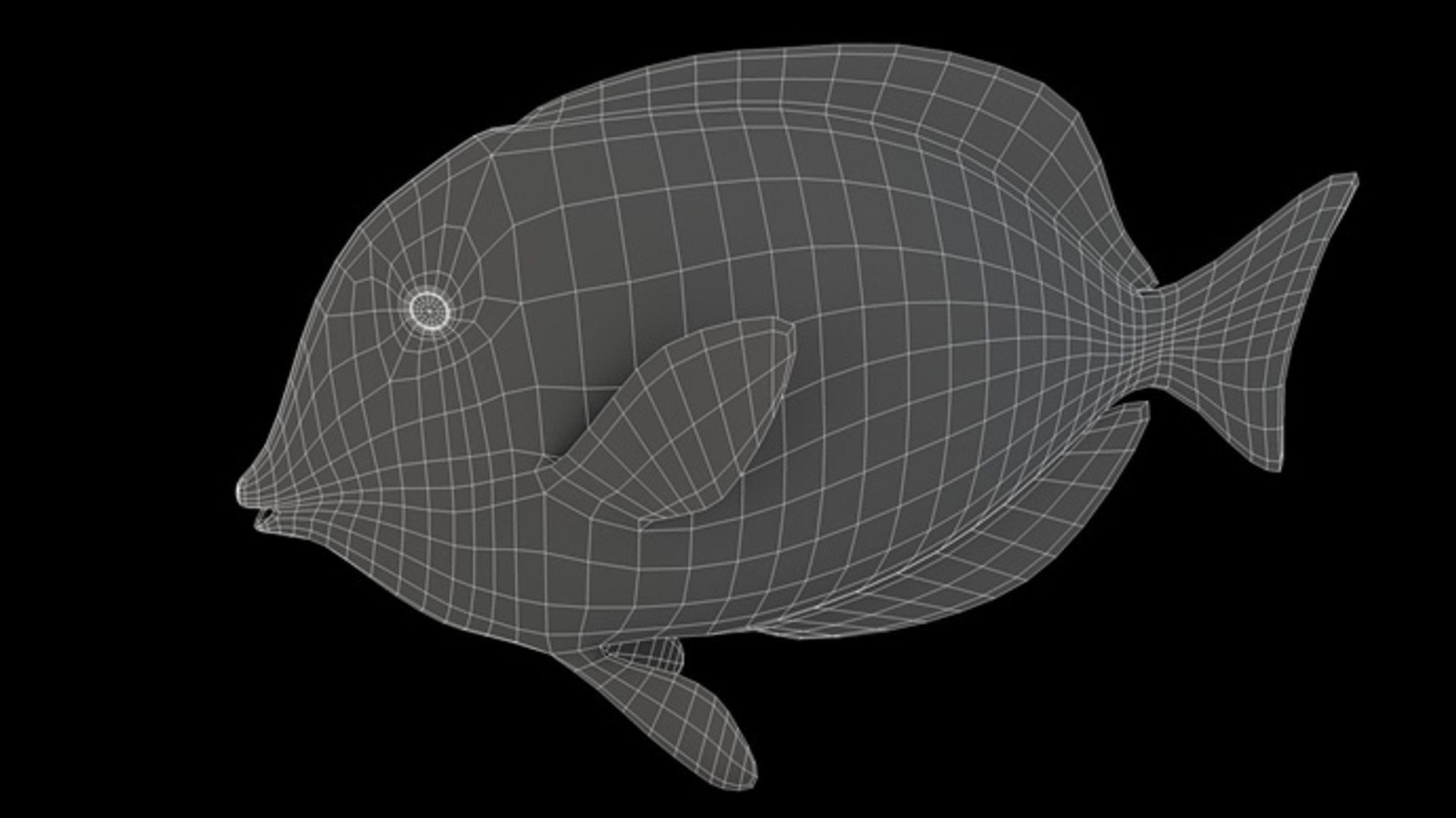 3ds Max Blue Sea Fish