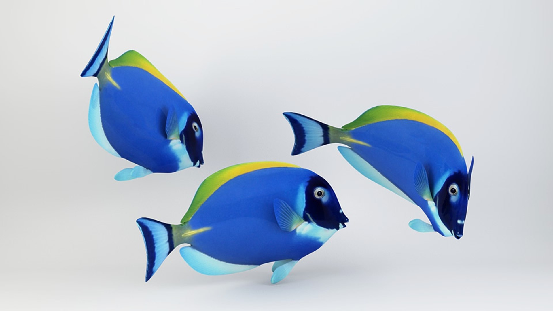 3ds Max Blue Sea Fish