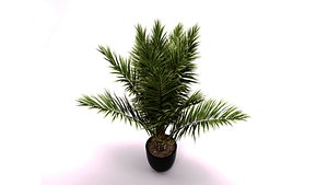 3D Proxy Models | TurboSquid