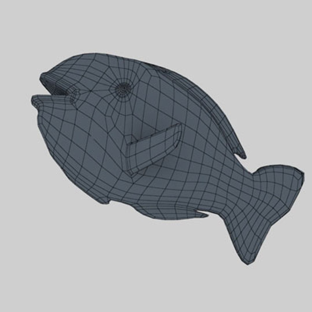 Parrotfish Fish 3d Obj