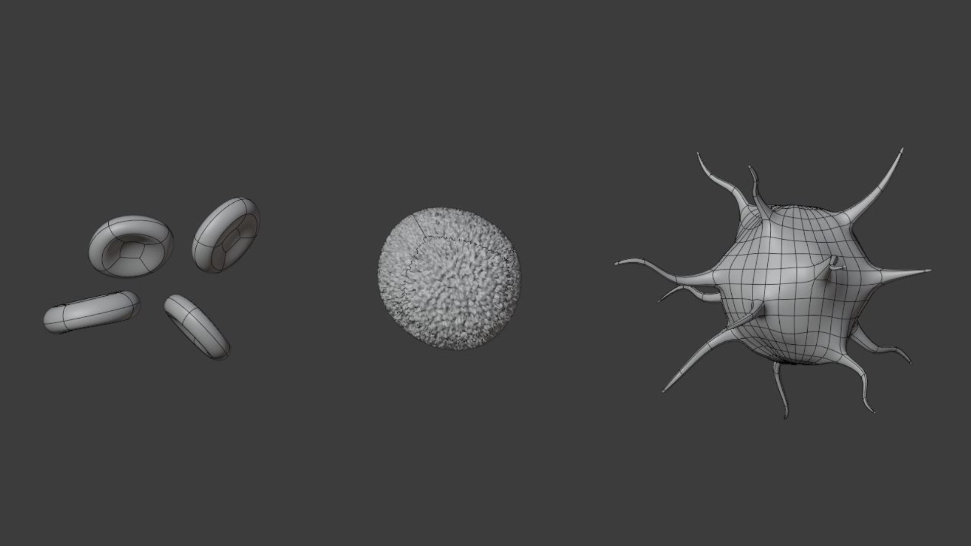 Bloodcells Blood Cells Model - TurboSquid 1672918