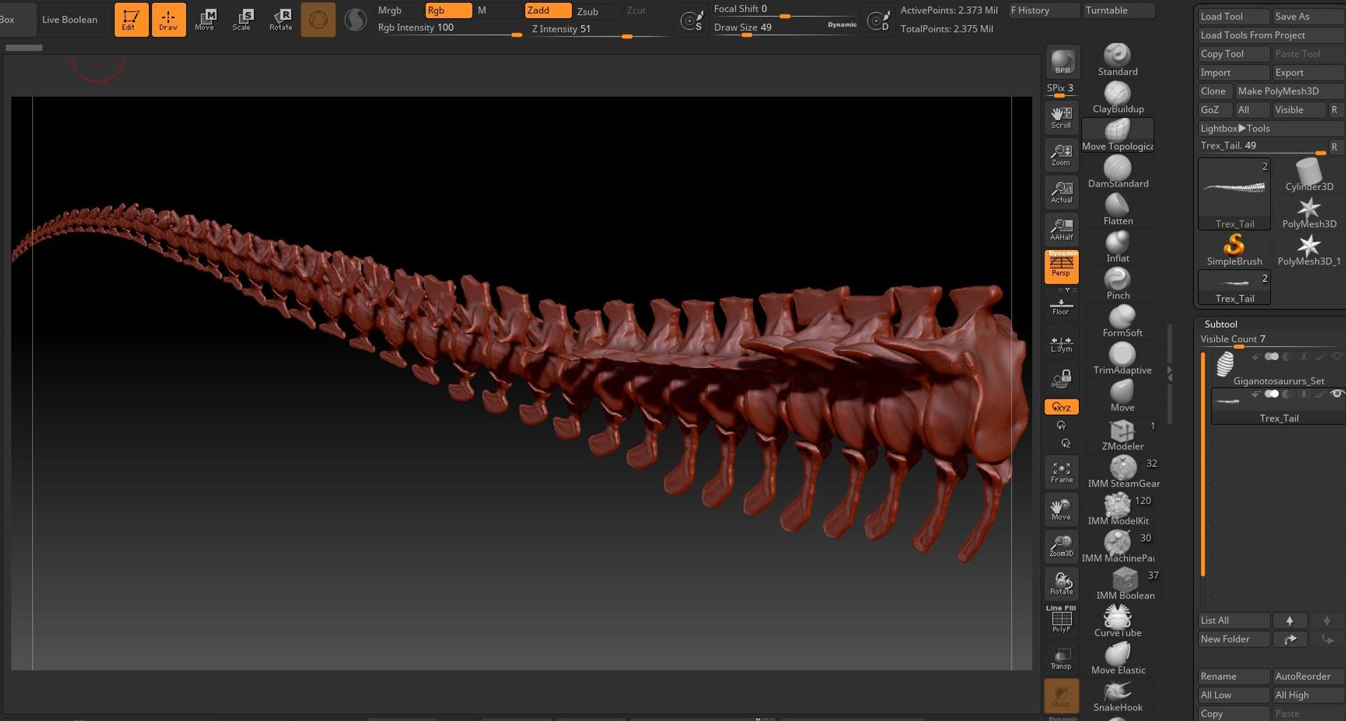 3D Trex Tail Set Skeletons Model - TurboSquid 1707521