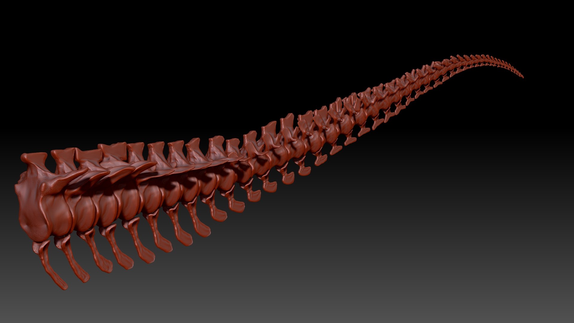 3D Trex Tail Set Skeletons Model - TurboSquid 1707521