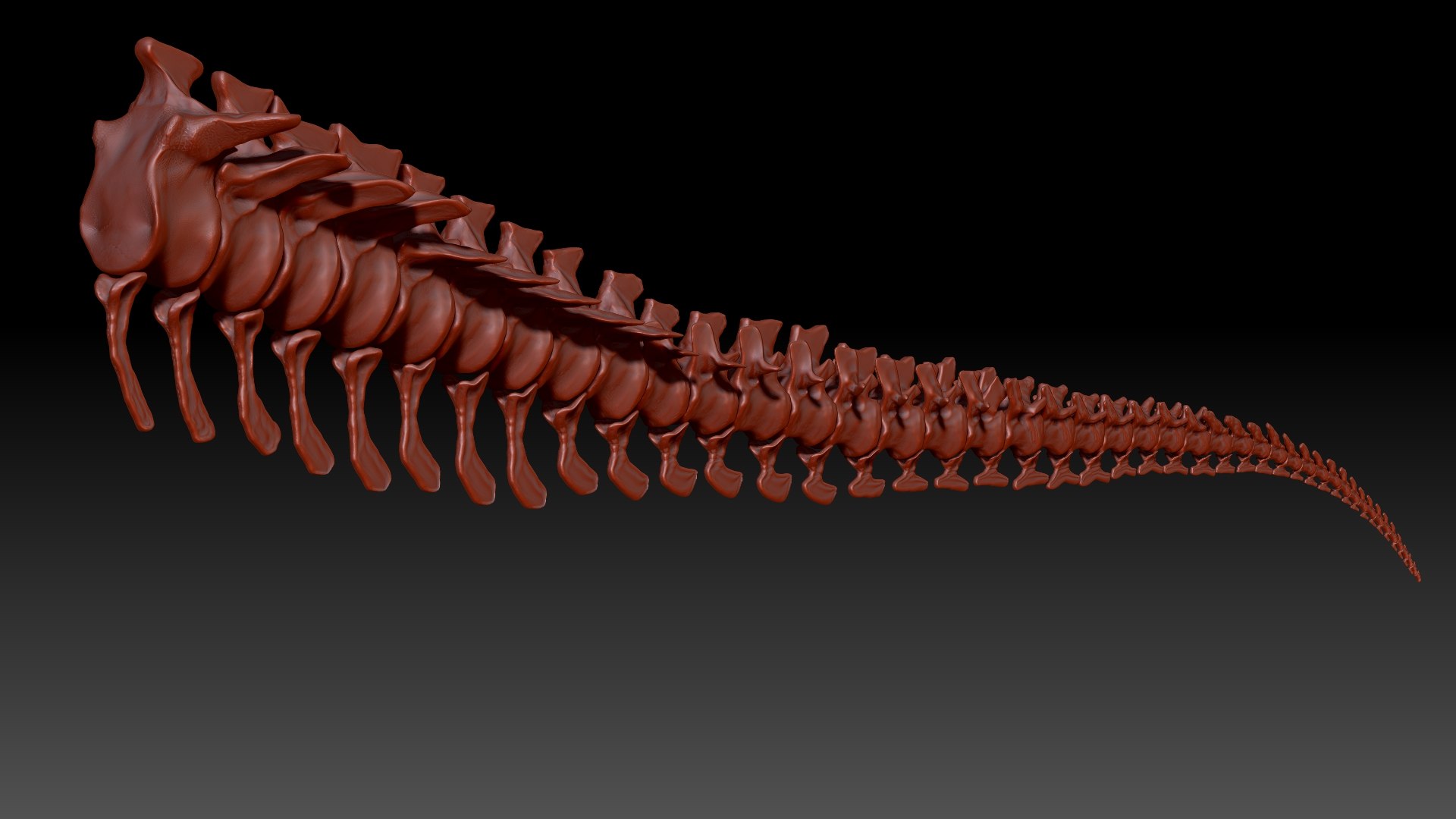 3D Trex Tail Set Skeletons Model - TurboSquid 1707521