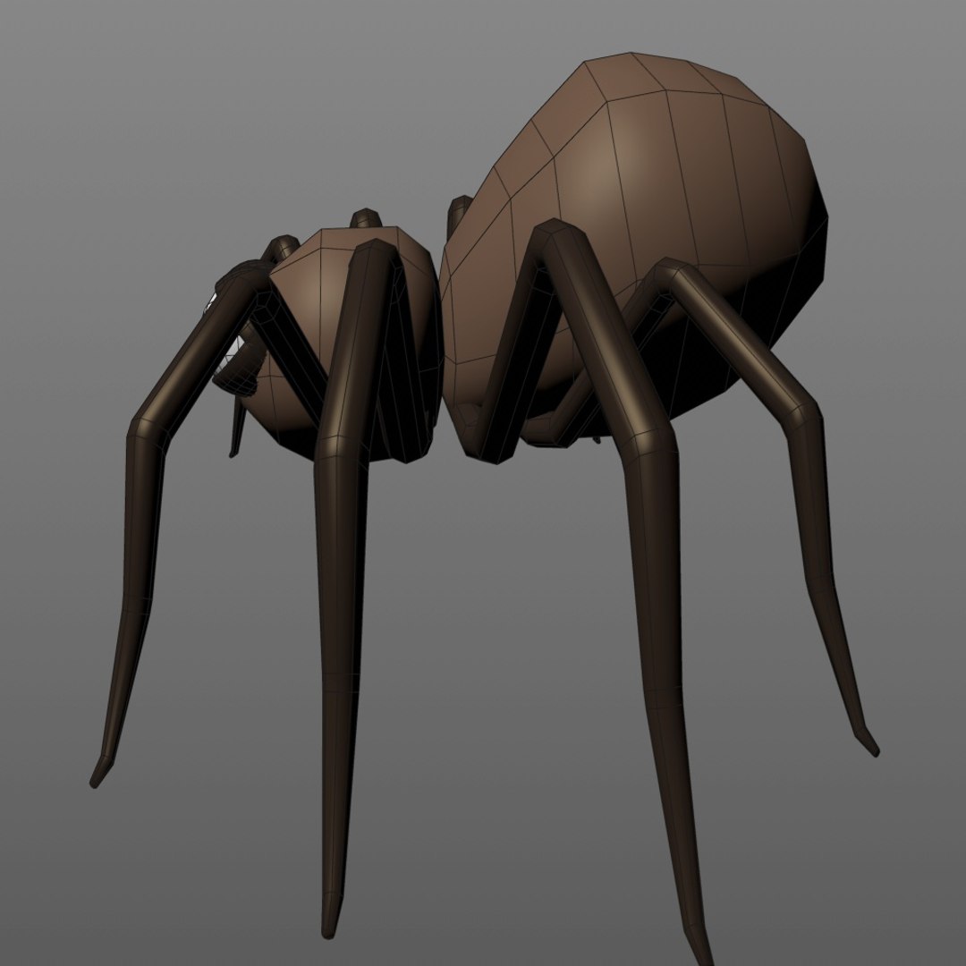 3D Simple Cartoon Spider - TurboSquid 1502961