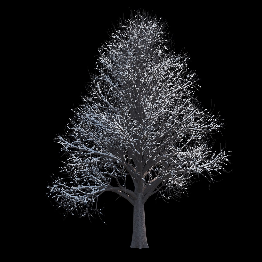 3D Winter Tree 03 - TurboSquid 1223264