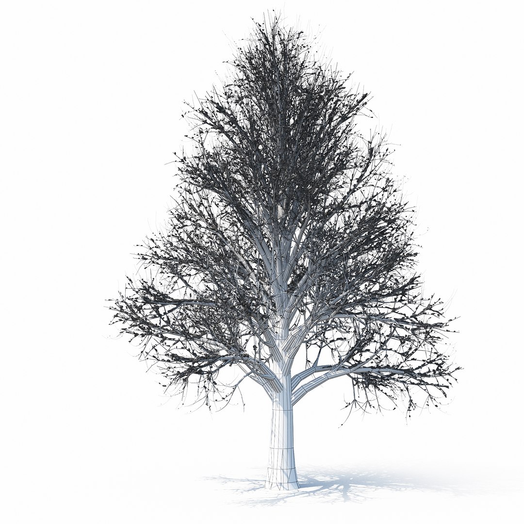 3D Winter Tree 03 - TurboSquid 1223264