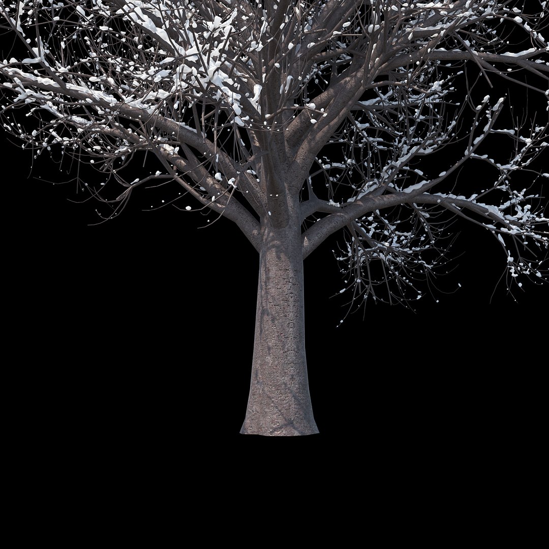 3D Winter Tree 03 - TurboSquid 1223264