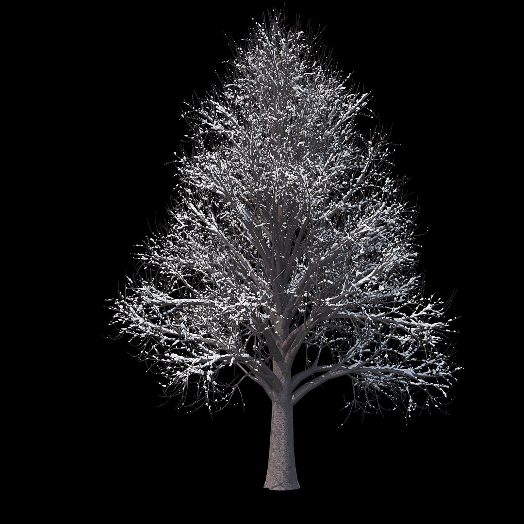 3D Winter Tree 03 - TurboSquid 1223264