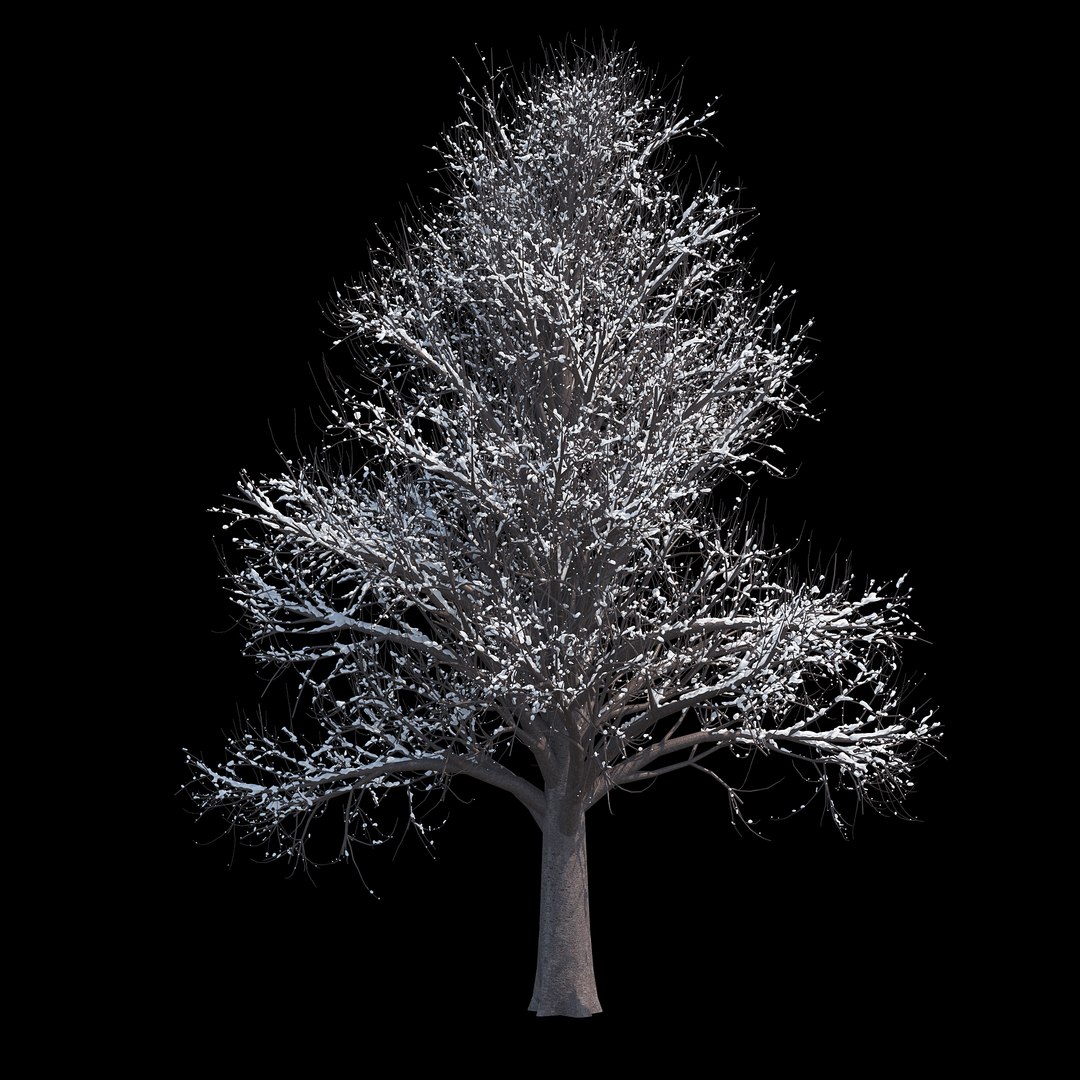 3D Winter Tree 03 - TurboSquid 1223264