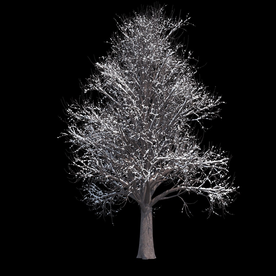 3D Winter Tree 03 - TurboSquid 1223264
