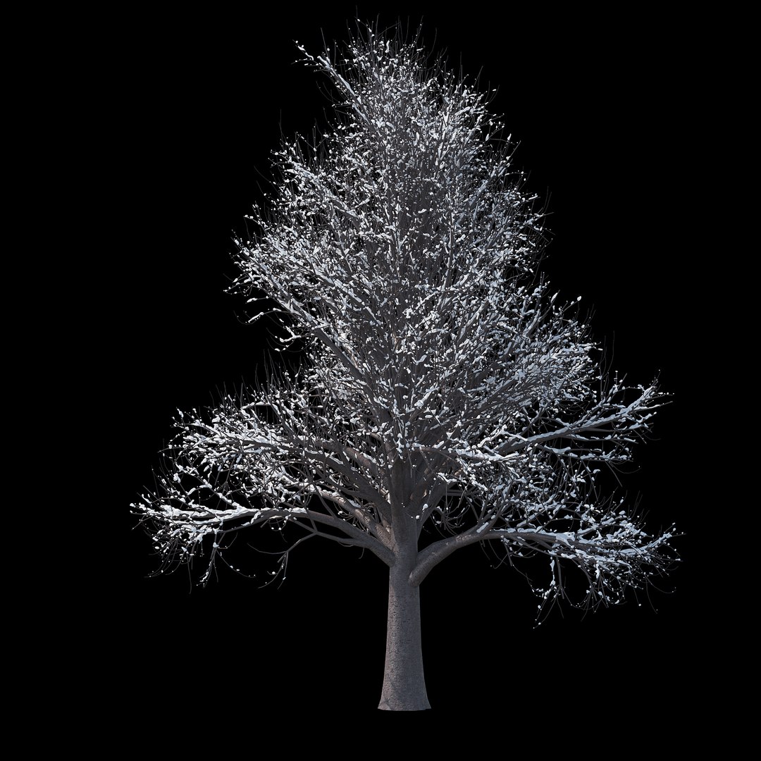 3D Winter Tree 03 - TurboSquid 1223264