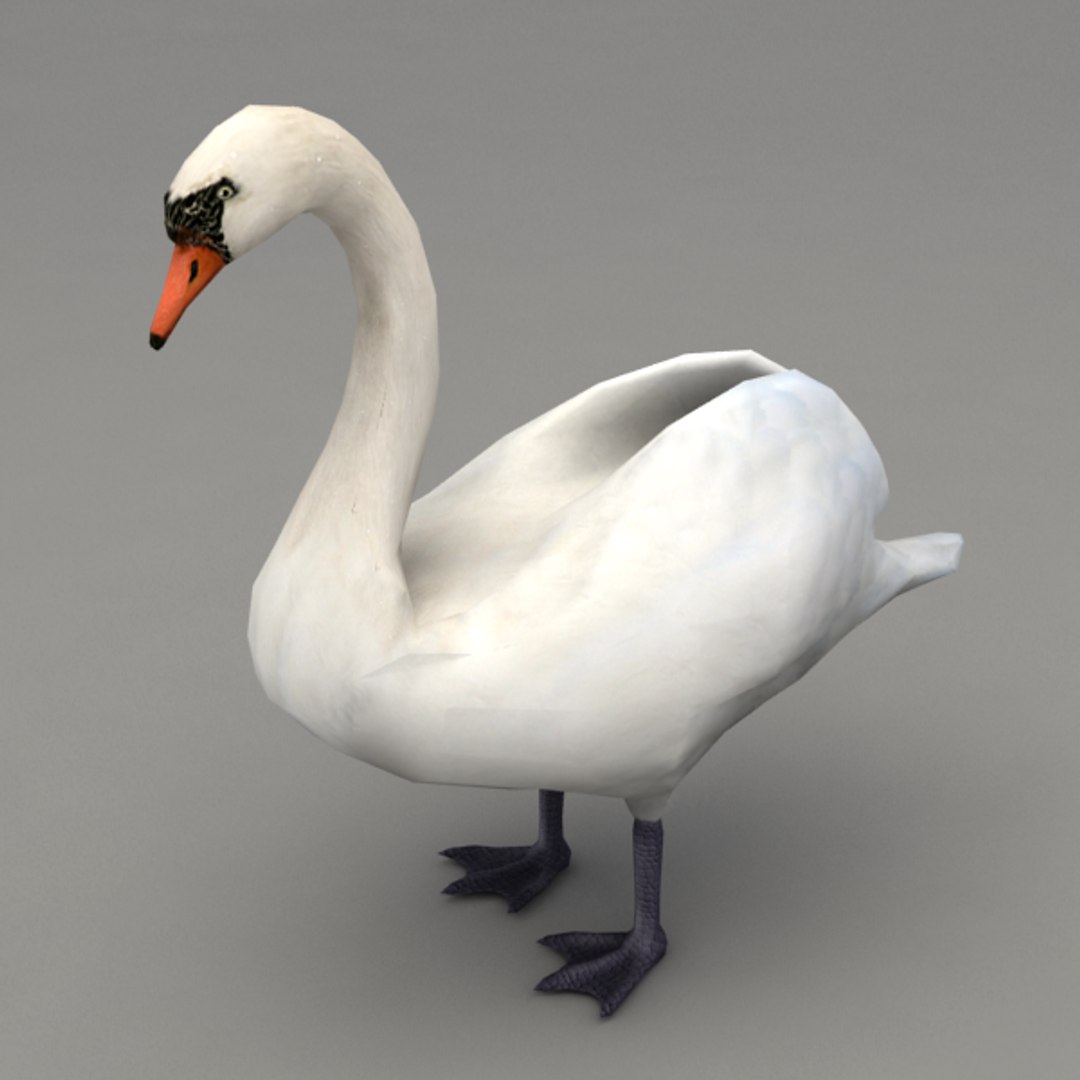 3ds Max Rigged Swan