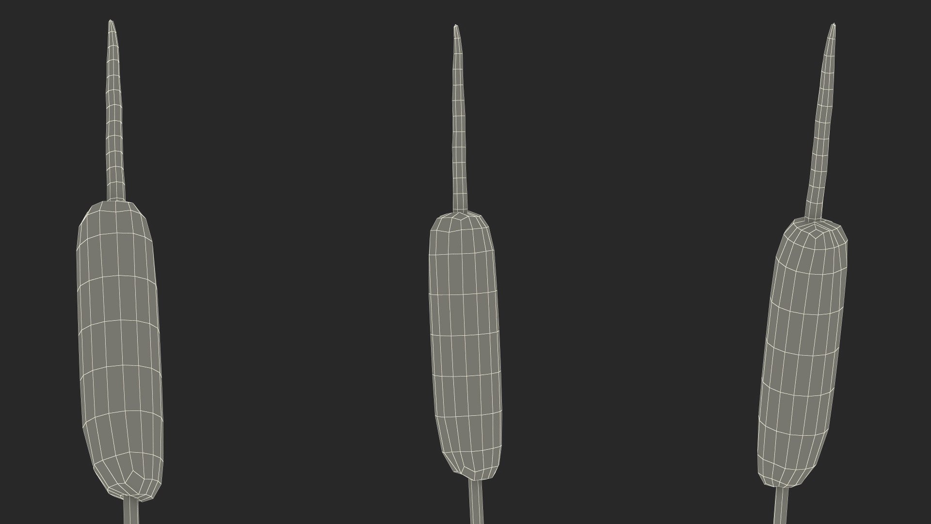 Typha Latifolia Plant Flower 3D Model - TurboSquid 2157856