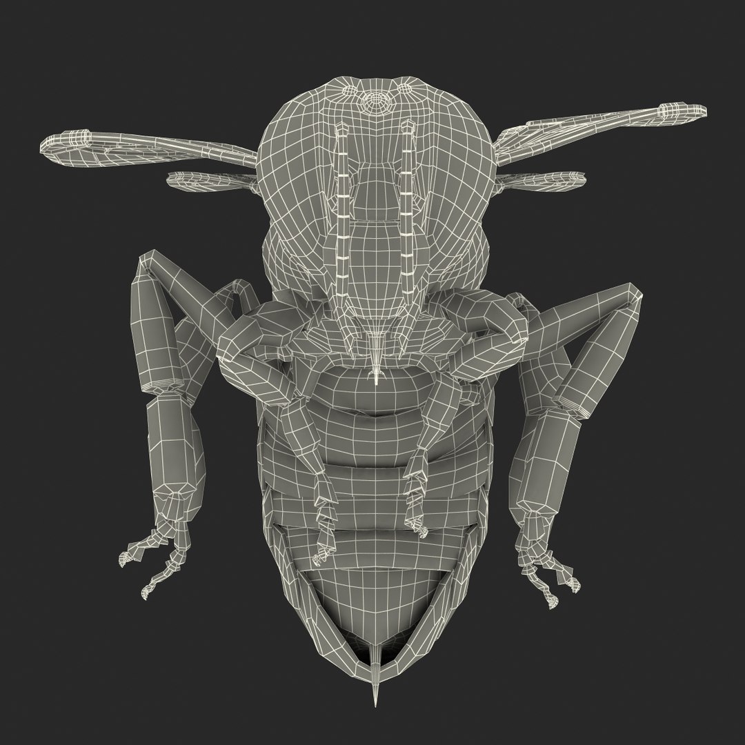 3d model honey bee pose 3