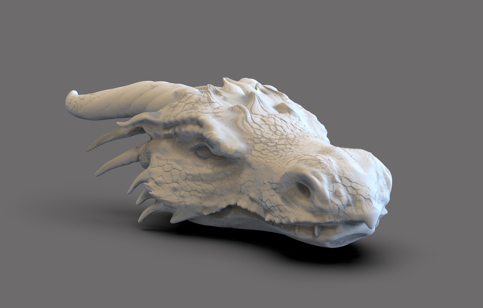 Dragon Head 3D Model - TurboSquid 2250362