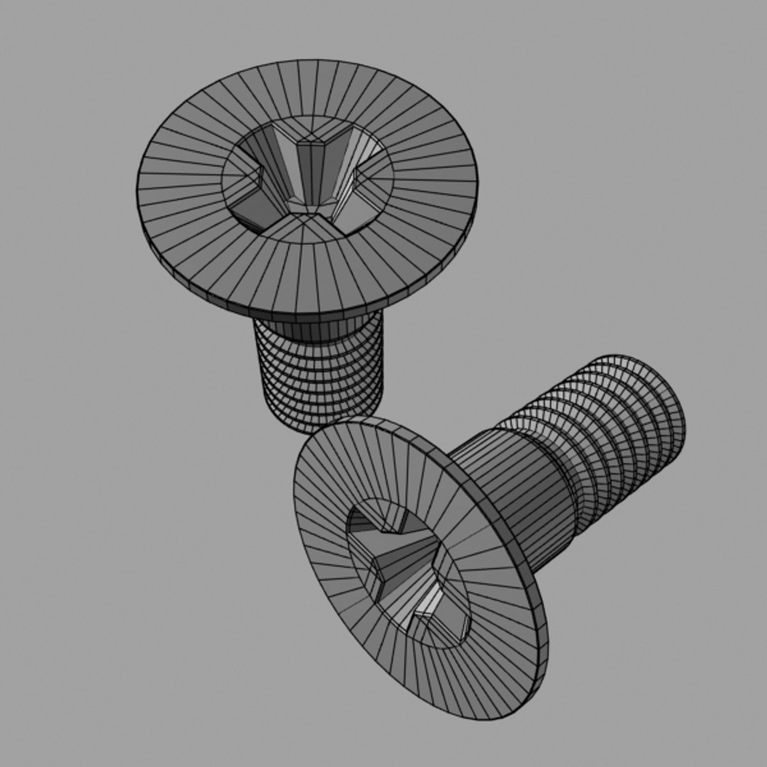 3d Model Philips Screw