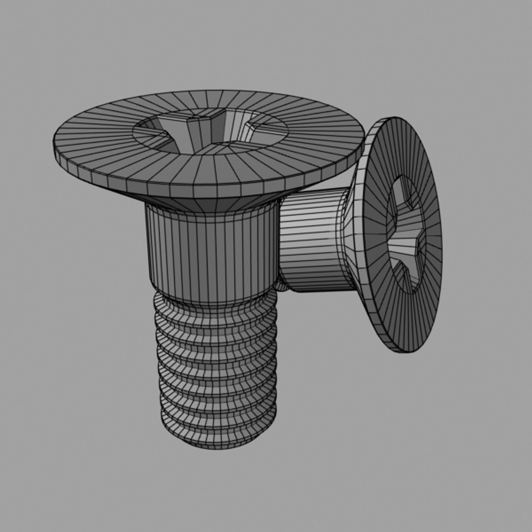 3d Model Philips Screw