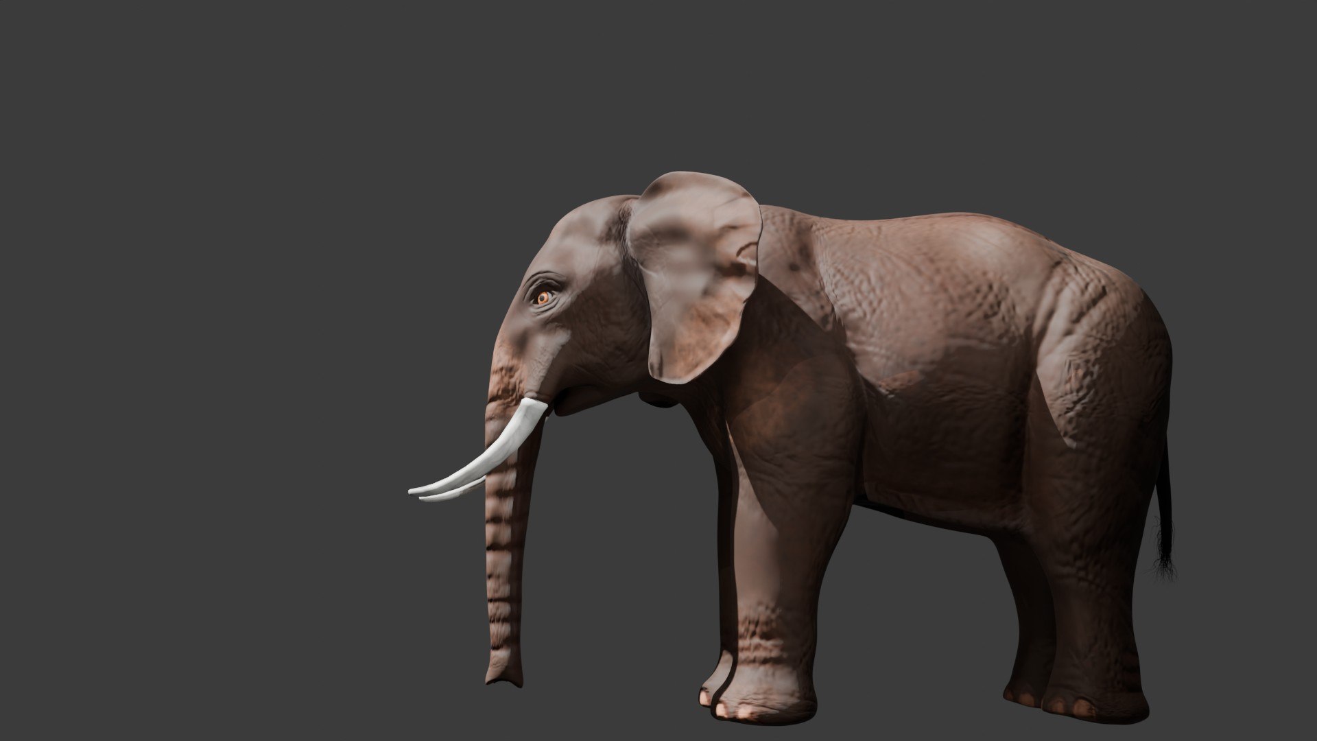 Elephant 3D Model - TurboSquid 2226699