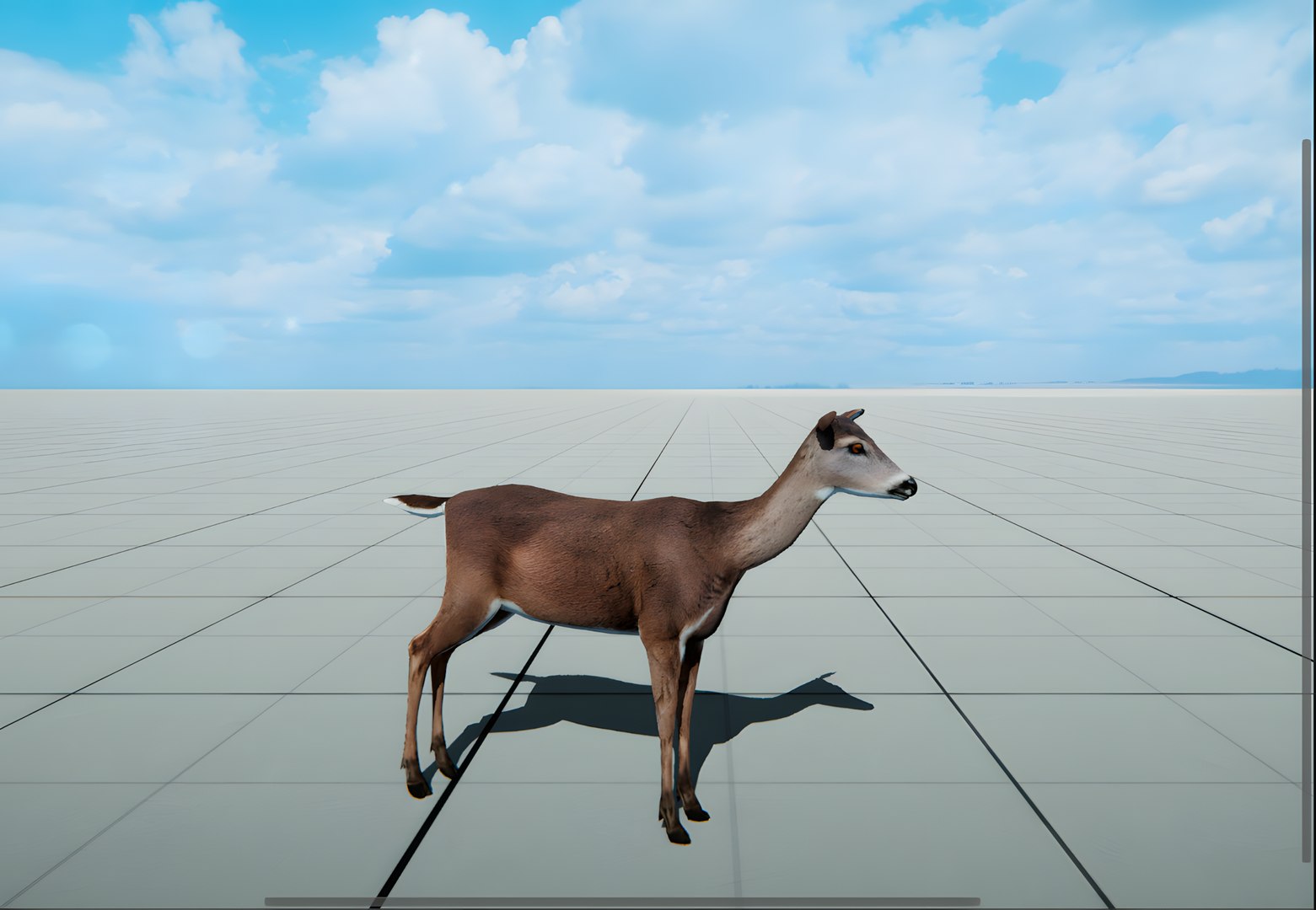 3D Animated Doe 3D Model - TurboSquid 2385841