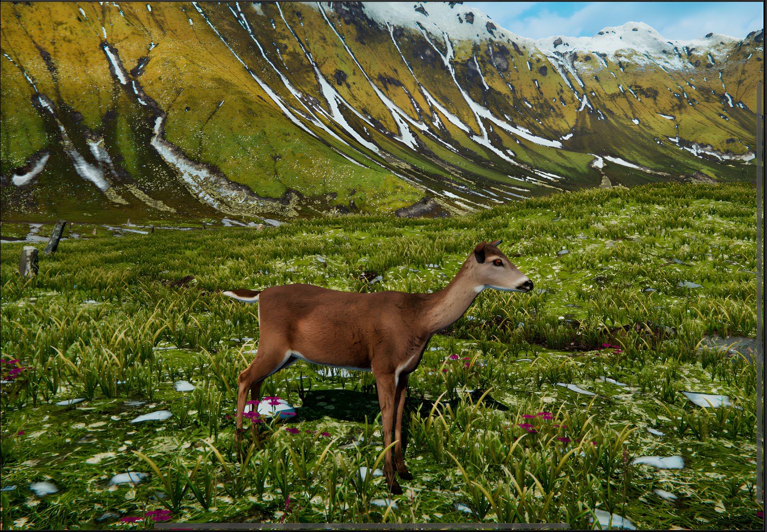 3D Animated Doe 3D Model - TurboSquid 2385841