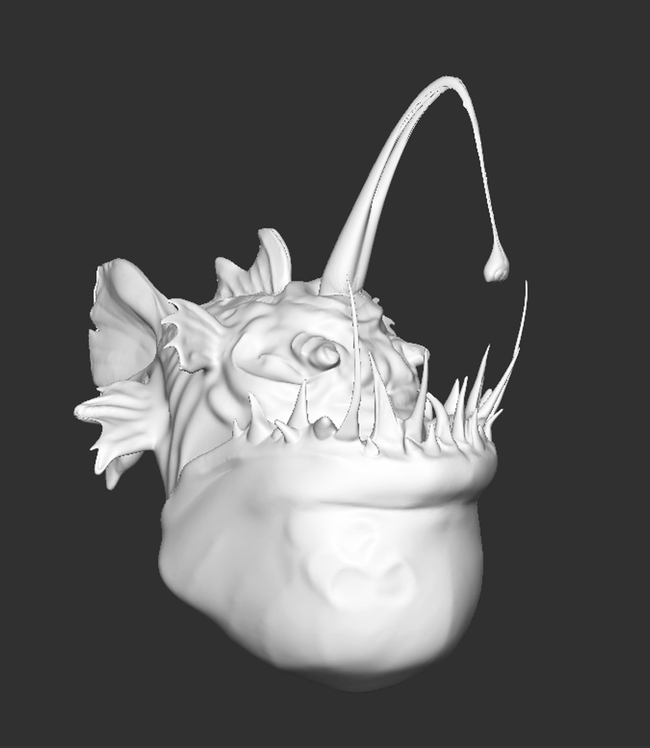 3d Angler Fish Model