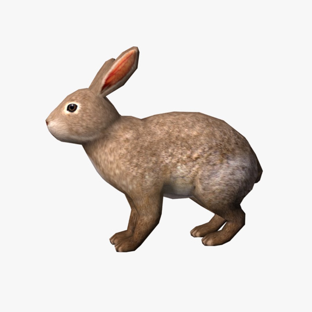 Rabbit Edge Loop Max