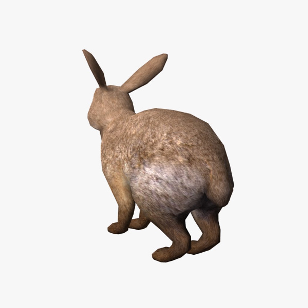 Rabbit Edge Loop Max