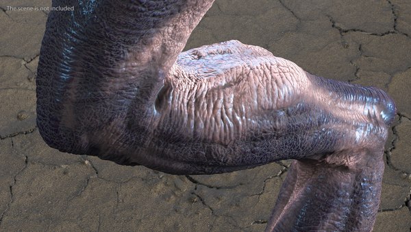 Monster creature leg science 3D - TurboSquid 1700694