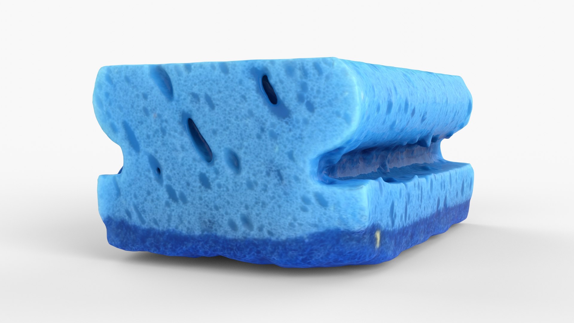 Photorealistic 3D Scan Of Sponge 3D Model - TurboSquid 2263434