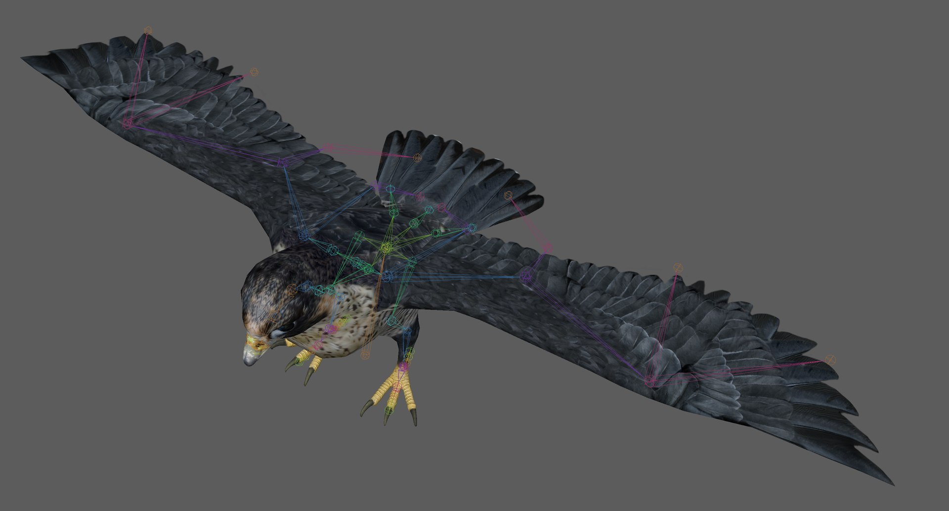 3D Falcon Bird - TurboSquid 2300584