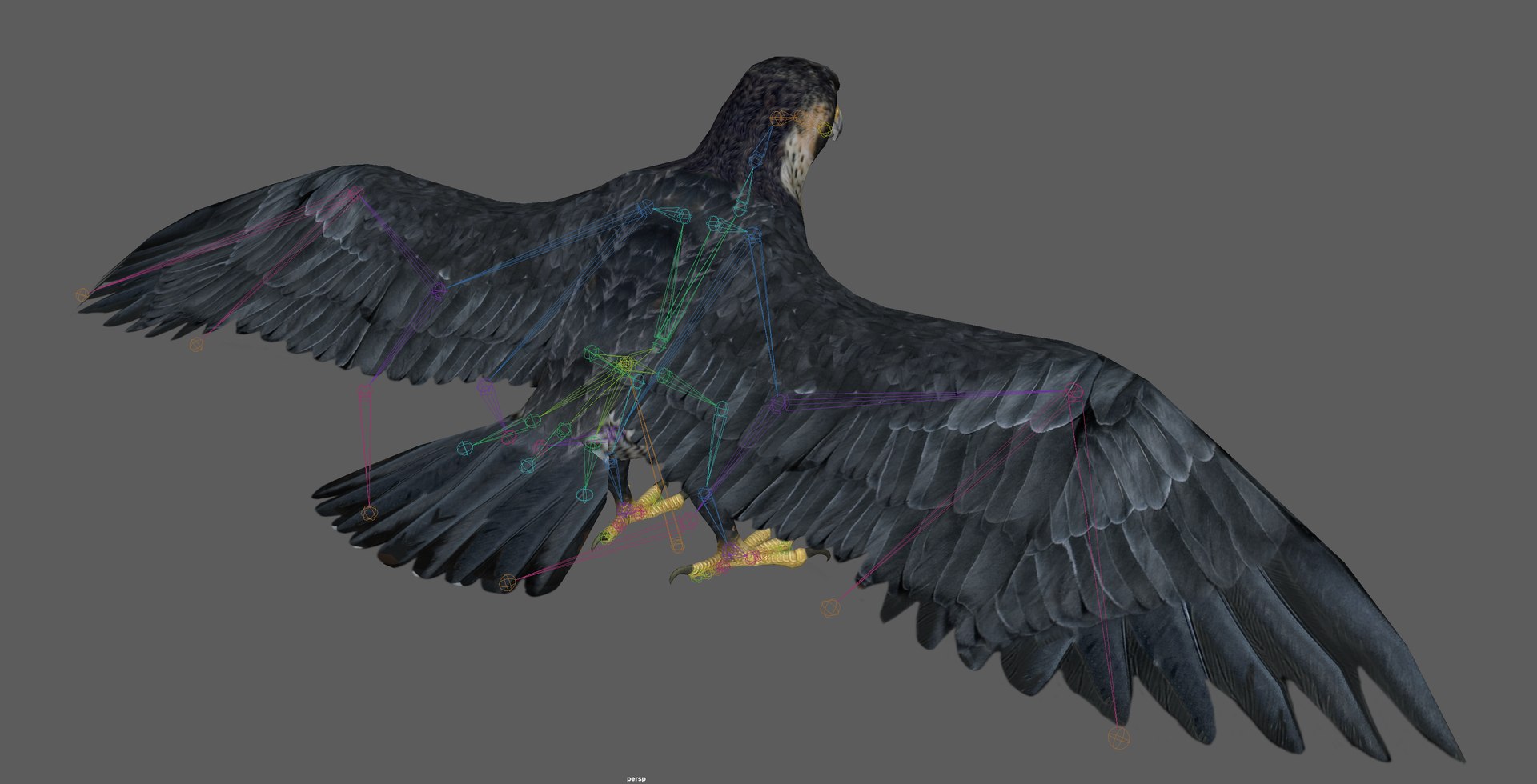 3D Falcon Bird - TurboSquid 2300584