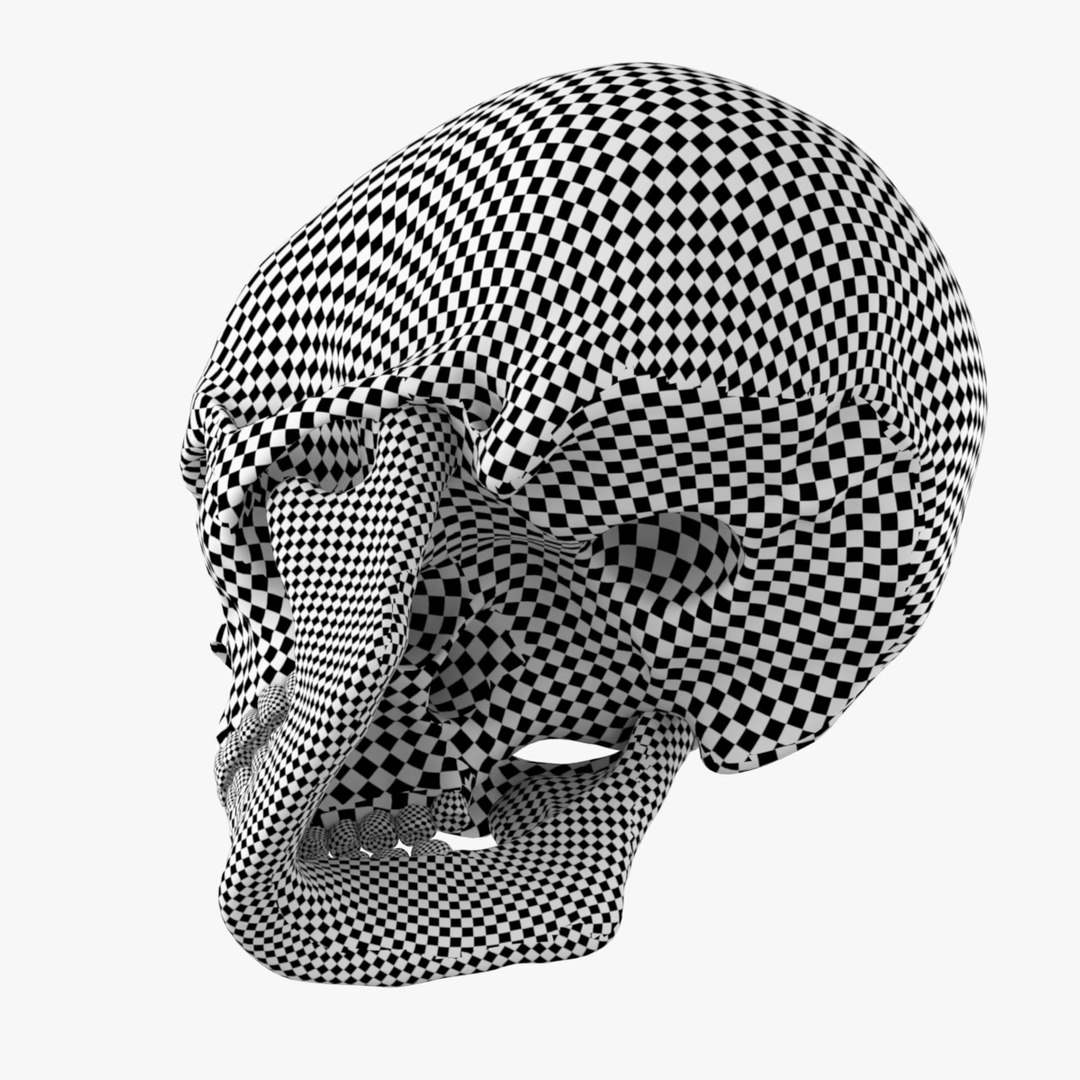 Caucasoid Male Skull 3d Max